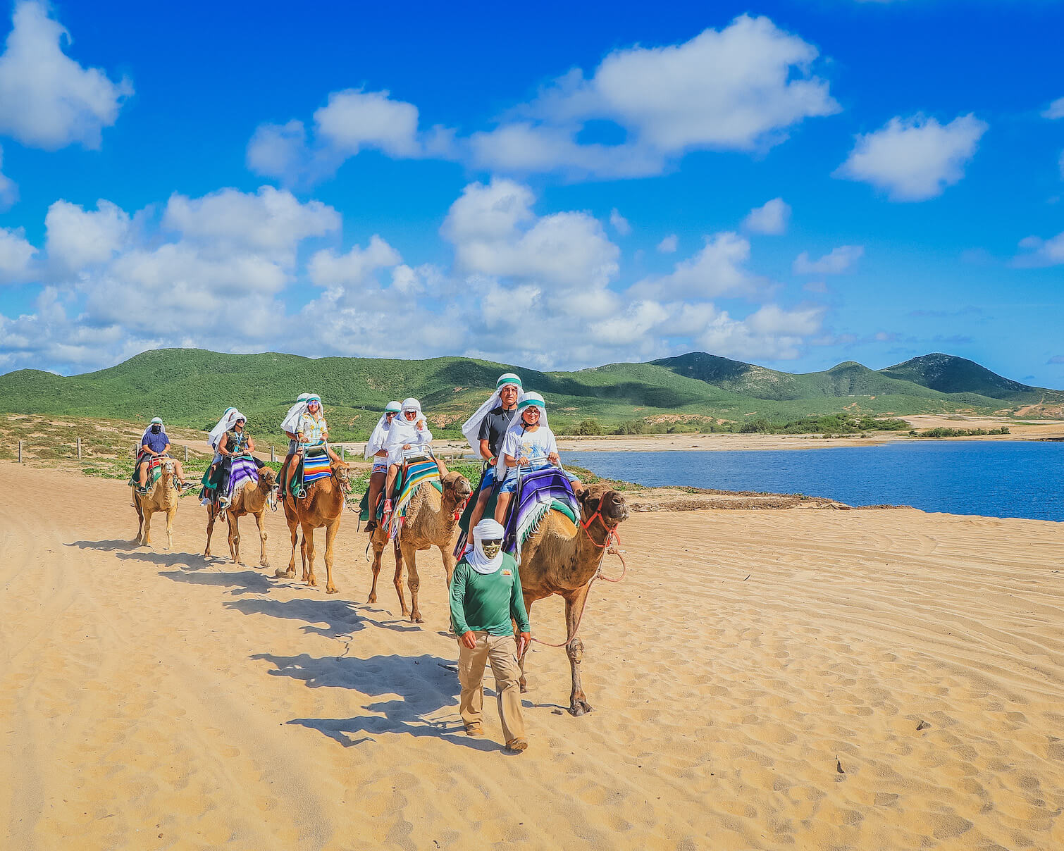 Camel Tours - Day tour - Things to Do Cabo by Cabo Patriot Pioneers